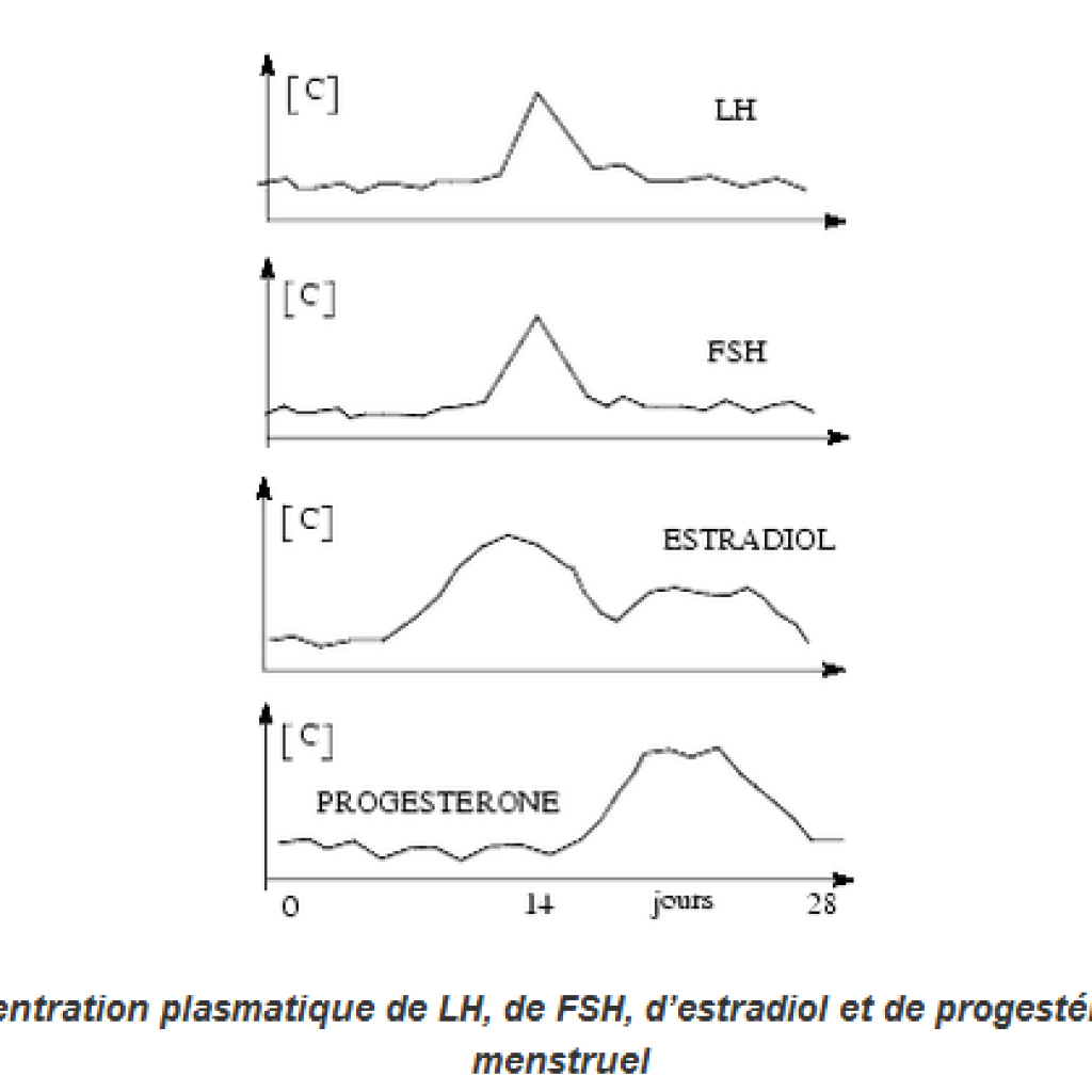 bilan-hormonal-chez-la-femme - Objectif Detox